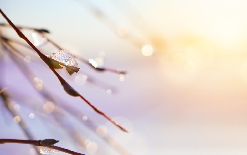 News & Notes – Norwich Public Library