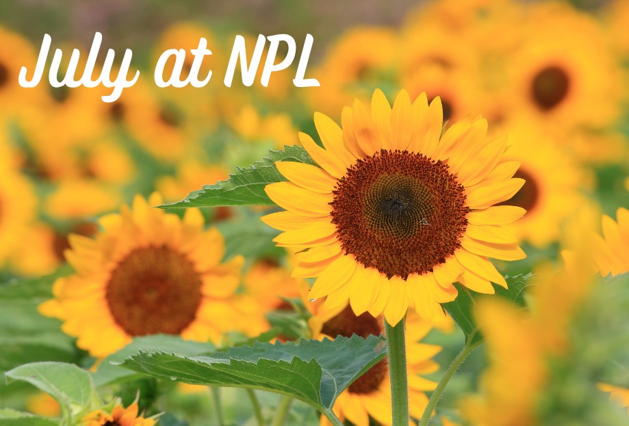 News & Notes – Norwich Public Library